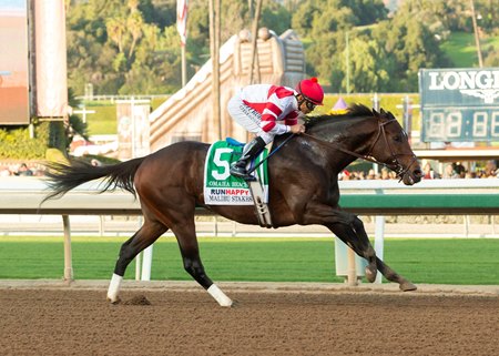 Kentucky Stallion Market to Contract More in 2020 - BloodHorse