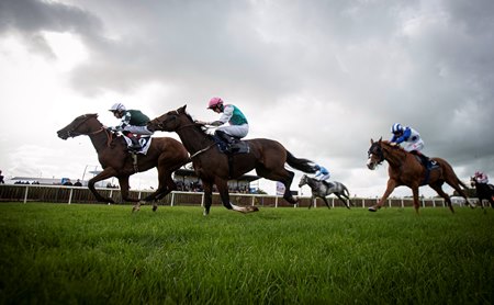 HRI Outlines Plans for All-Weather Track at Tipperary - BloodHorse