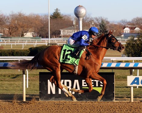 Lake Avenue Returns to Challenge Busher Field - BloodHorse