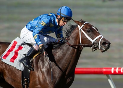 Smooth Like Strait - Horse Profile - BloodHorse