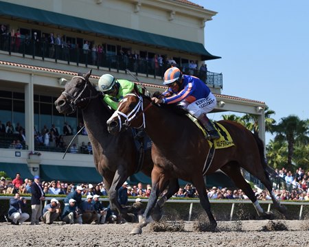 1/ST Racing, Jockeys' Guild Continue Partnership - BloodHorse