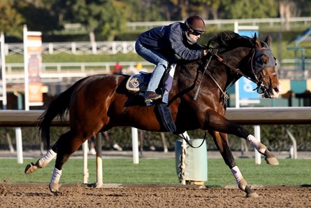 Higher Power - Horse Profile - BloodHorse