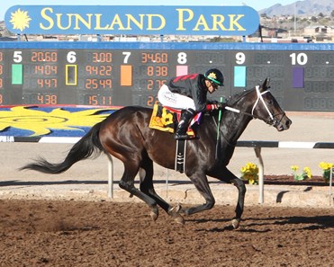 Rowdy Yates - Horse Profile - BloodHorse