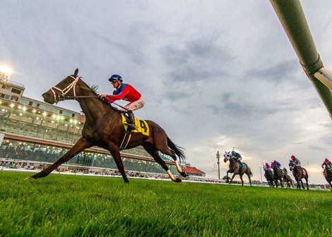 Dontblamerocket Wins Colonel E R Bradley Stakes Bloodhorse