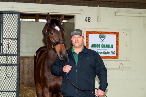 OBS' Colbert Scores Big With Adios Charlie Colt - BloodHorse