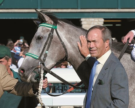 Strawbridge Acquires New Zealand Star Habibi - BloodHorse