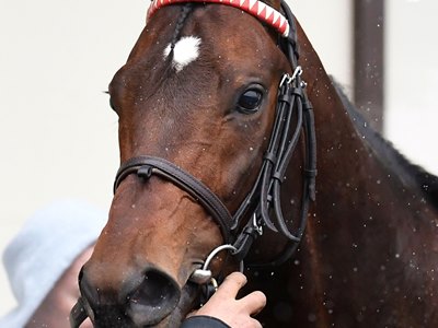 Equibase | Horse Racing | Horse Racing Entries | Horse Racing Results ...