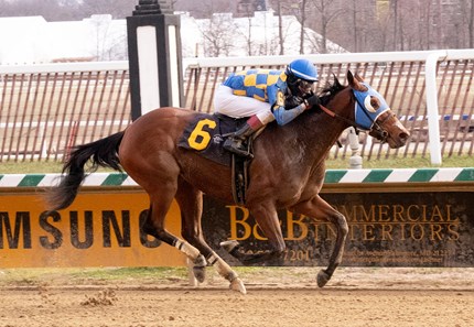 Sweet Home Dixie - Horse Profile - BloodHorse