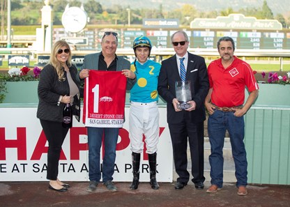 Desert Stone (IRE) - Horse Profile - BloodHorse