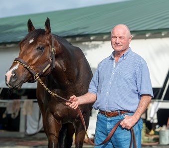 Omaha Beach - Horse Profile - BloodHorse