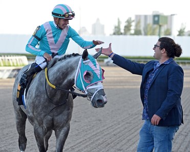 Tusk - Horse Profile - BloodHorse