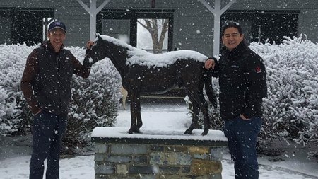 New Generation Adds to Illustrious Audley Farm History - BloodHorse