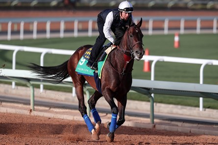 McKinzie - Horse Profile - BloodHorse