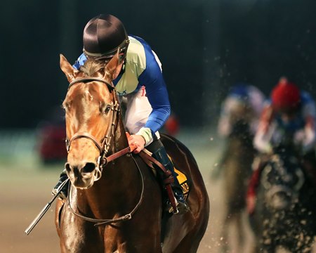 Partial Interest Sold in Louisiana 3-Year-Old No Parole - BloodHorse
