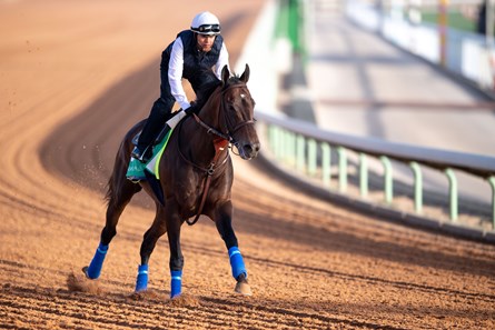 McKinzie - Horse Profile - BloodHorse