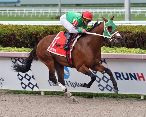 Mischevious Alex Taking It Furlong By Furlong in Gotham - BloodHorse