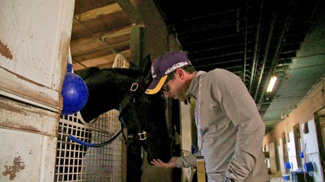 I Am Horse Racing: Jeff Bloom - Video - - BloodHorse