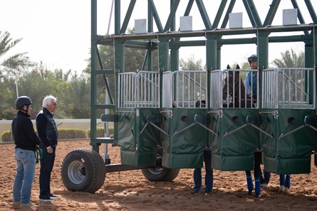 McKinzie - Horse Profile - BloodHorse