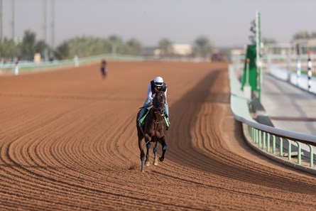 McKinzie - Horse Profile - BloodHorse