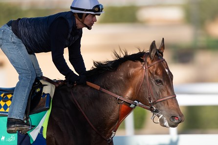 McKinzie - Horse Profile - BloodHorse