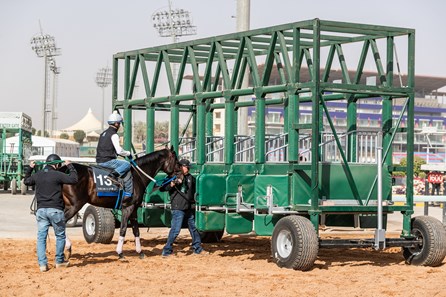 Rowdy Yates - Horse Profile - BloodHorse