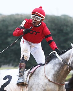 Silver Prospector - Horse Profile - BloodHorse