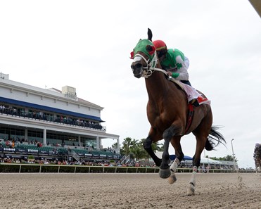 Mischevious Alex - Horse Profile - BloodHorse