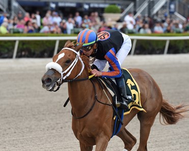 Tonalist's Shape - Horse Profile - BloodHorse