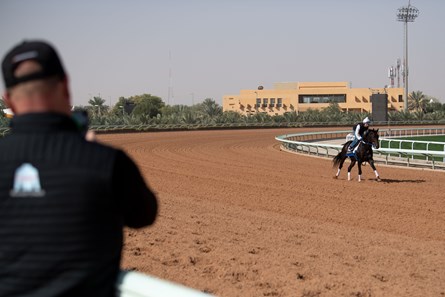 Rowdy Yates - Horse Profile - BloodHorse