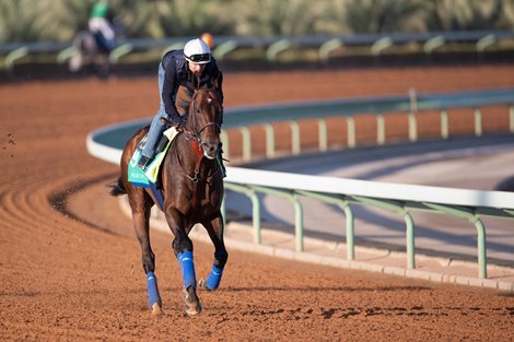 McKinzie Turns in First Work Since Saudi Cup - BloodHorse