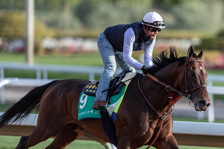 McKinzie - Horse Profile - BloodHorse