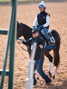 Rowdy Yates - Horse Profile - BloodHorse