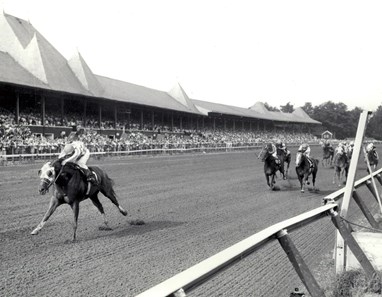 Secretariat - Slideshow - BloodHorse