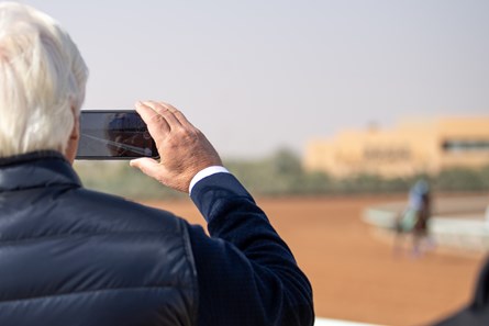 McKinzie - Horse Profile - BloodHorse