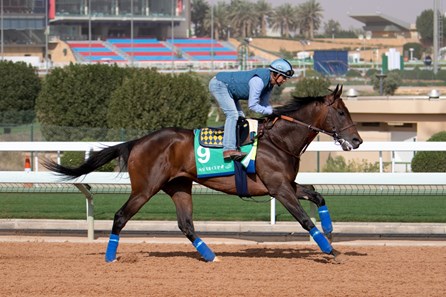 McKinzie - Horse Profile - BloodHorse