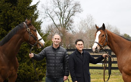 Covfefe - Horse Profile - BloodHorse