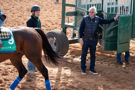 McKinzie - Horse Profile - BloodHorse