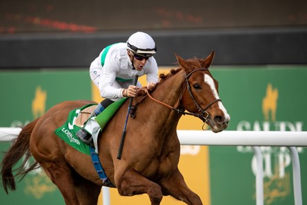 Call The Wind (GB) - Horse Profile - BloodHorse