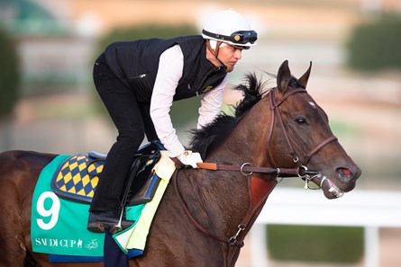 McKinzie - Horse Profile - BloodHorse