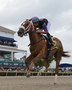 Tonalist's Shape - Horse Profile - BloodHorse