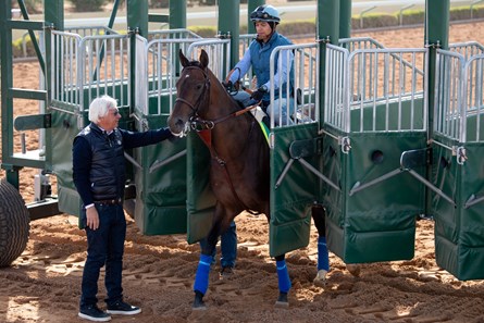 McKinzie - Horse Profile - BloodHorse