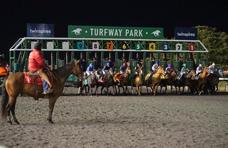 CDI Putting in New Synthetic Track at Turfway Park - BloodHorse