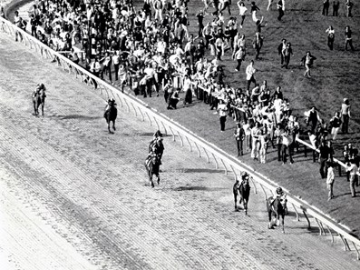 Secretariat - Slideshow - BloodHorse