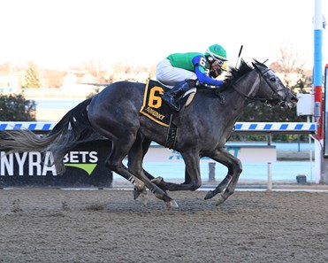 Water White - Horse Profile - BloodHorse