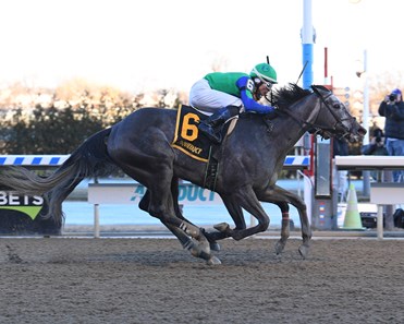 Water White - Horse Profile - BloodHorse