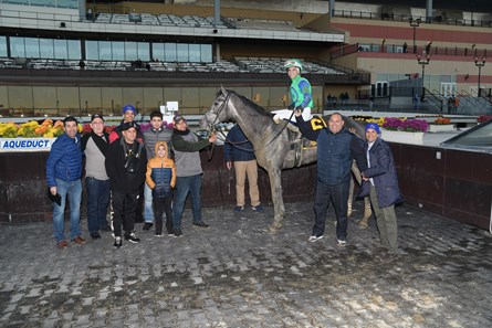 Water White - Horse Profile - BloodHorse