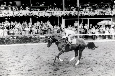 Secretariat - Horse Profile - BloodHorse