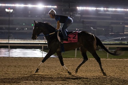 Rowdy Yates - Horse Profile - BloodHorse