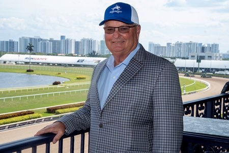 Albaugh Family on a Roller Coaster Ride in Racing - BloodHorse