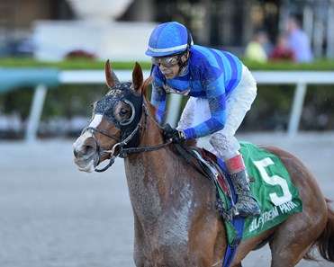 Sally's Curlin - Horse Profile - BloodHorse